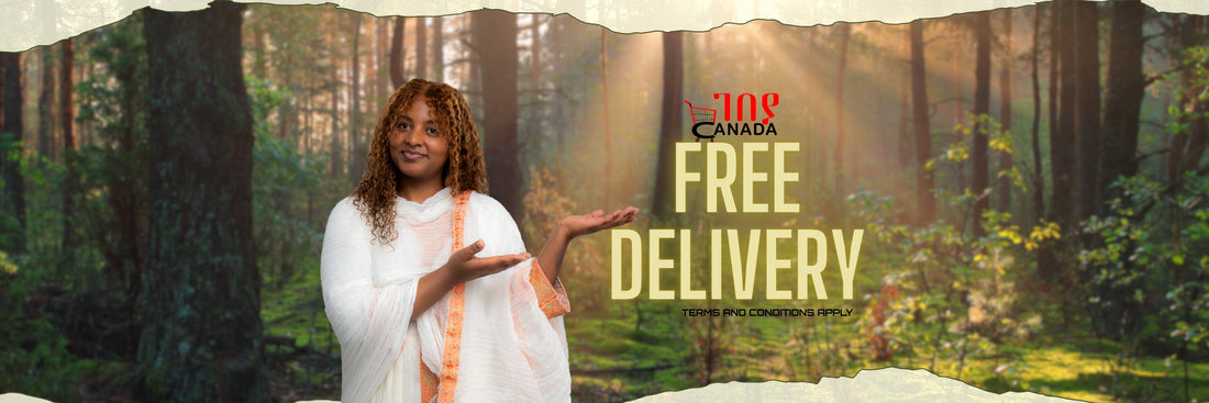 CanadaGebeya – Canada Gebeya